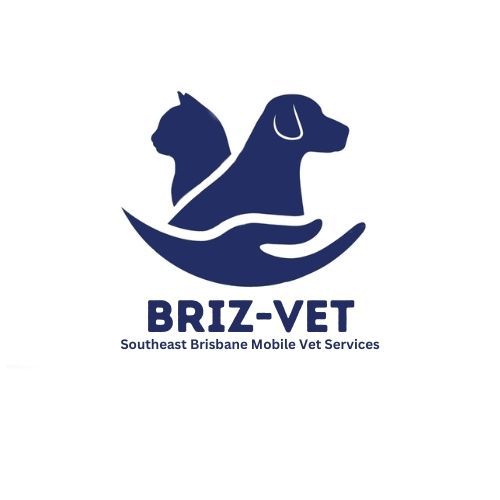 Briz-Vet | Book Online Appointments
